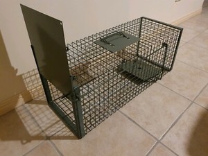 possum trap bunnings