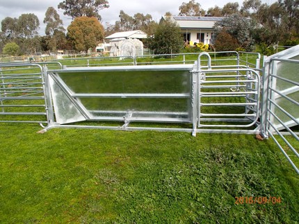 v Sheep Drafting Race | Pet Products | Gumtree Australia Macedon Ranges ...