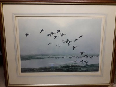 Signed Peter Scott Prints for sale in UK | View 41 ads