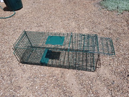 rabbit trap | Gumtree Australia Free Local Classifieds