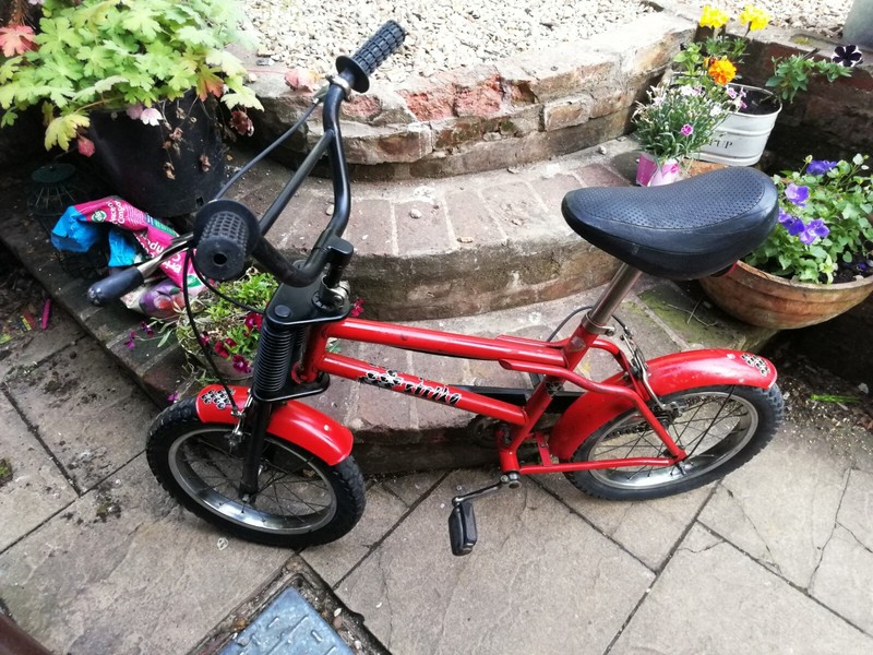 Raleigh+Strika For Sale