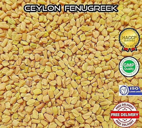 Dónde comprar fenogreco en México