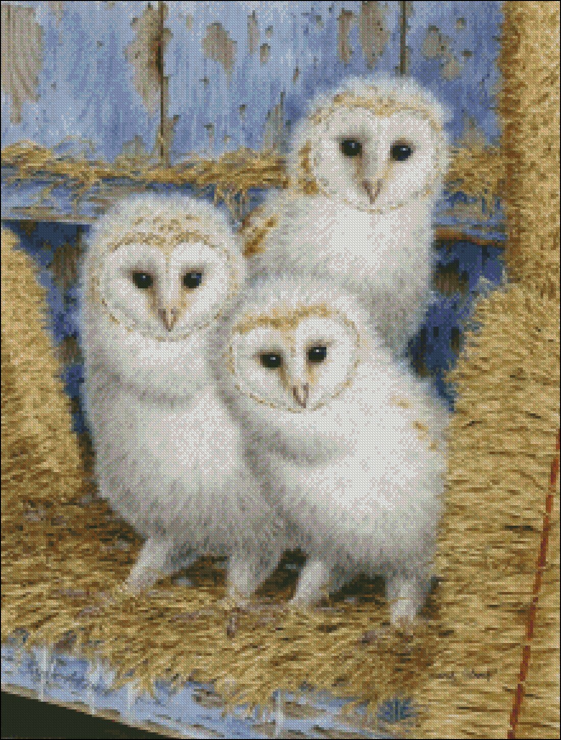 Pattern Needlework Diy | Barn Owl Chicks Chart Counted Cross Stitch