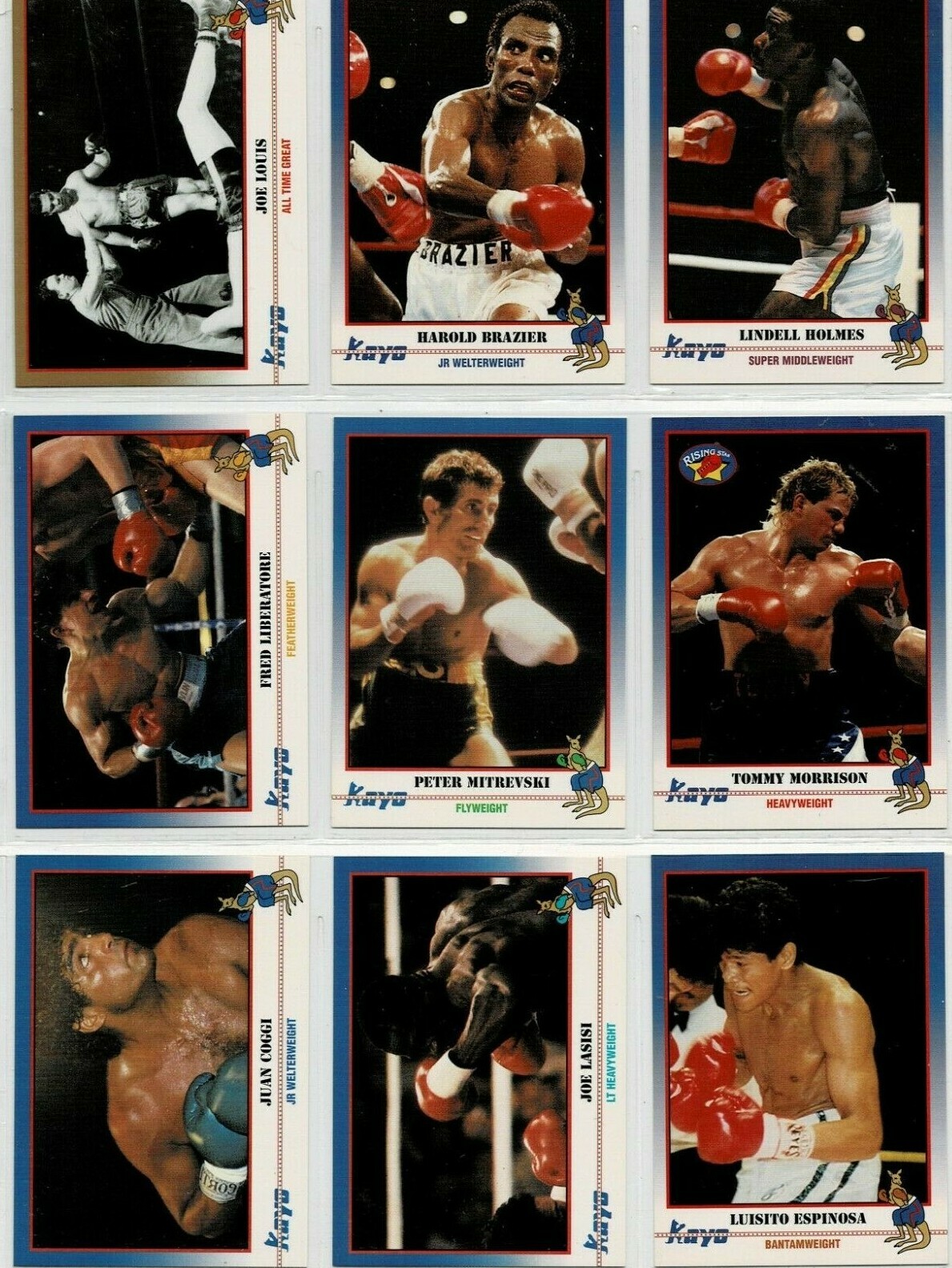 Collectors.com - Trading Cards - KAYO - KAYO BOXING ROUND ONE FOIL PACK