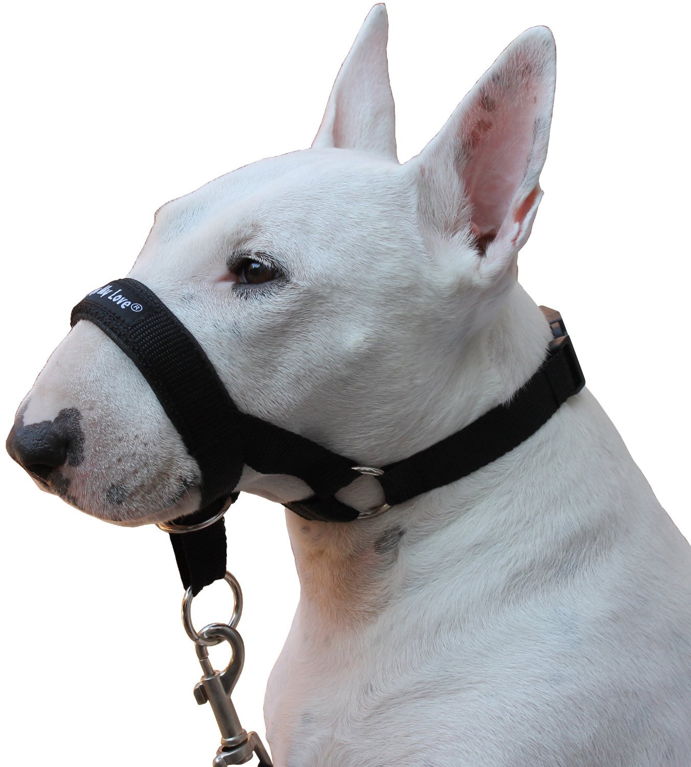 ️ Намордник для собак Nylon Dog Head Collar Halter Black 6 Sizes 🔥 купить