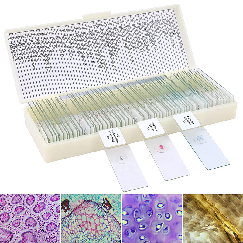 60 Microscope Slides with Specimens for Kids, Prepared