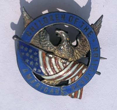 Dar Pin for sale | Only 2 left at -70%