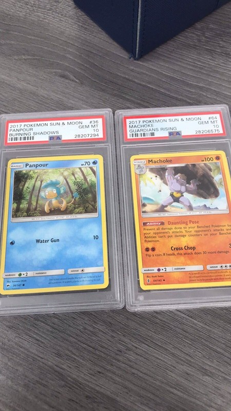 Panpour Pokemon Cards - Find Pokemon Card Pictures With Our Database ...