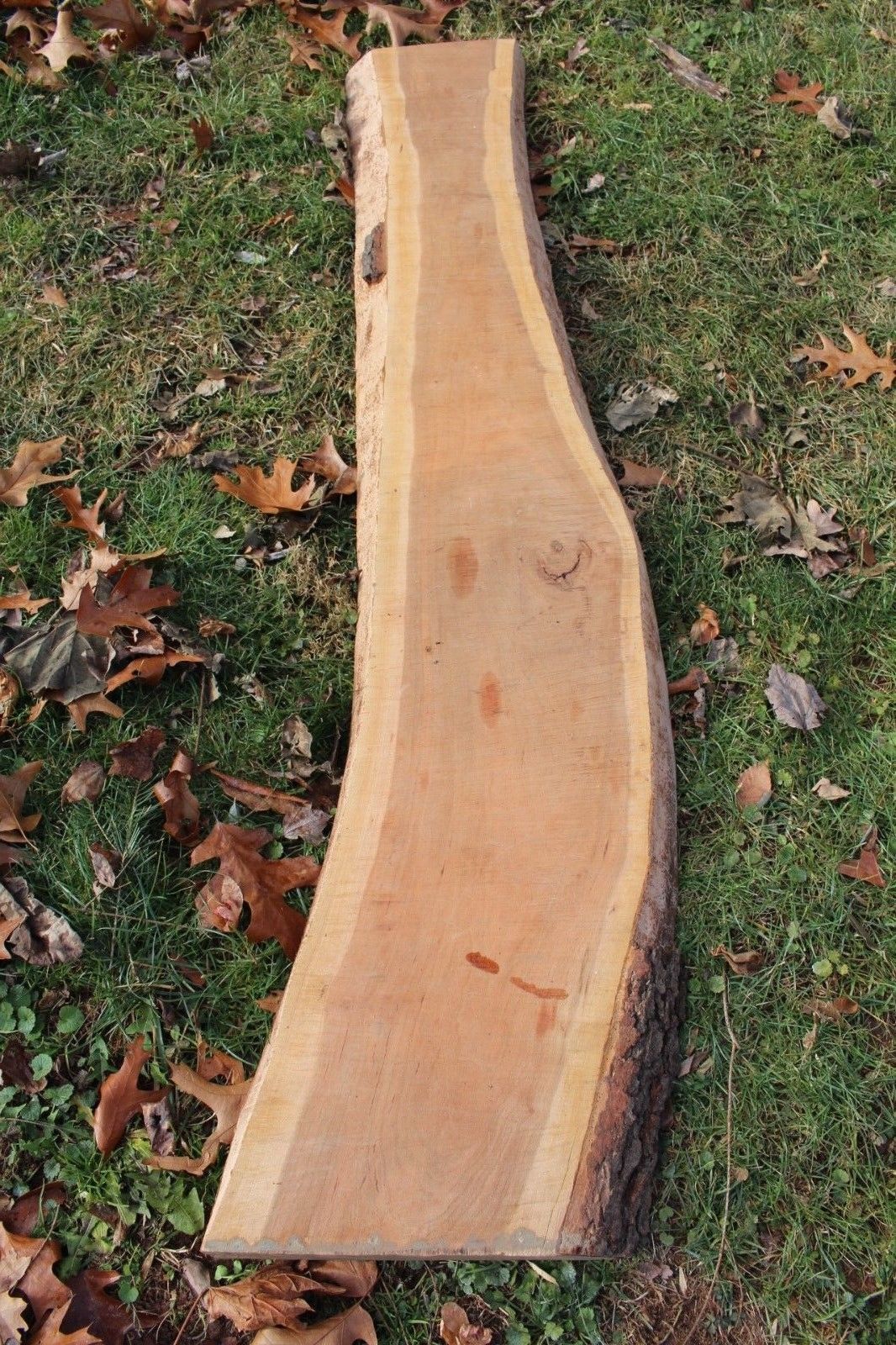 Live Edge Woods for sale | eBay