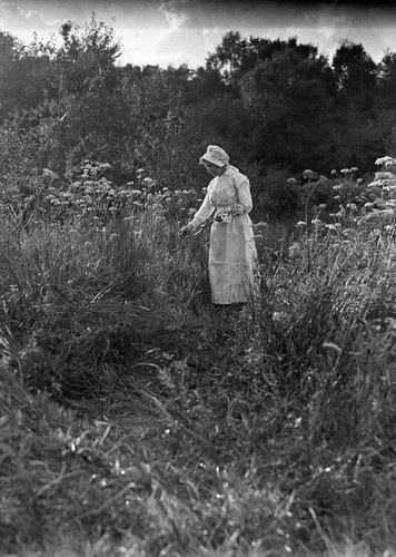 Collectable Photographs for sale | eBay UK