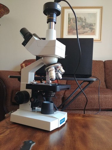 OMAX 40X-2500X LED Digital Lab Trinocular Compound Microscope with 1 ...