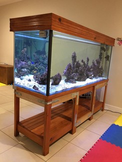 6x2x2 fish tank | Fish | Gumtree Australia Free Local Classifieds