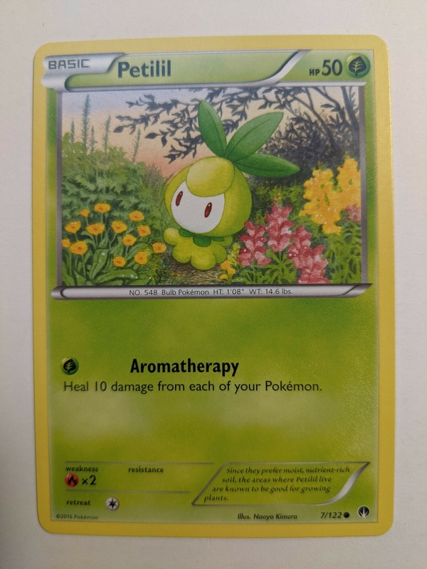 Petilil Pokemon Cards - Find Pokemon Card Pictures With Our Database ...