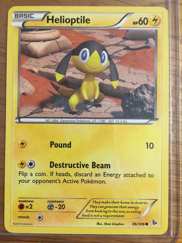Helioptile Pokemon Cards - Find Pokemon Card Pictures With Our Database ...