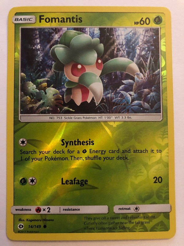 Fomantis Pokemon Cards - Find Pokemon Card Pictures With Our Database ...