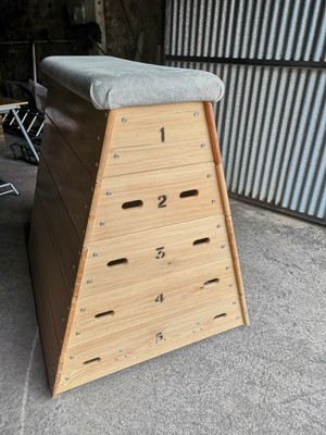 Gymnastics Vault Box for sale in UK | View 21 bargains
