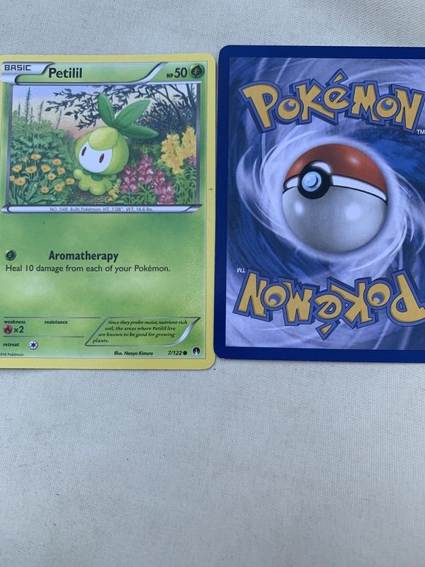 Petilil Pokemon Cards - Find Pokemon Card Pictures With Our Database ...