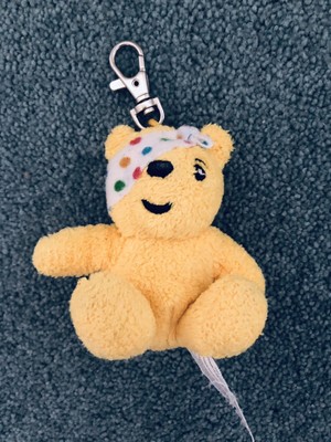 Pudsey Bear for sale in UK | 81 second-hand Pudsey Bears