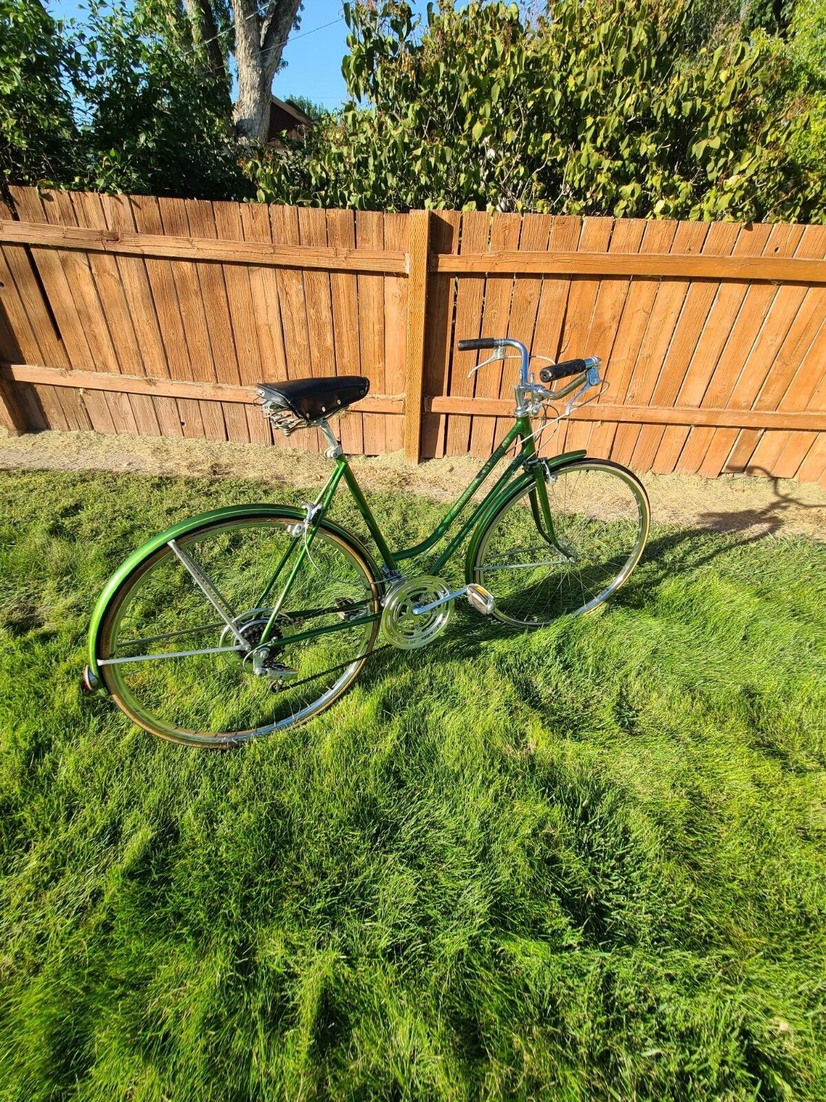 Vintage 1973 Womens Schwinn Suburban Bicycle