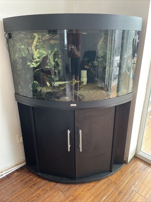 Corner Aquarium for sale in UK | 49 used Corner Aquariums