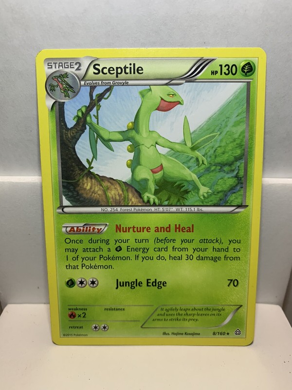 Sceptile Pokemon Cards - Find Pokemon Card Pictures With Our Database ...