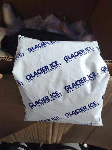 Inserts Reusable | 4 Glacier Ice Gel Refrigerant Cold Packs Each Cooler