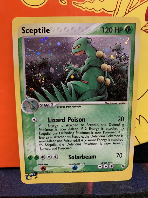 Sceptile Pokemon Cards - Find Pokemon Card Pictures With Our Database ...