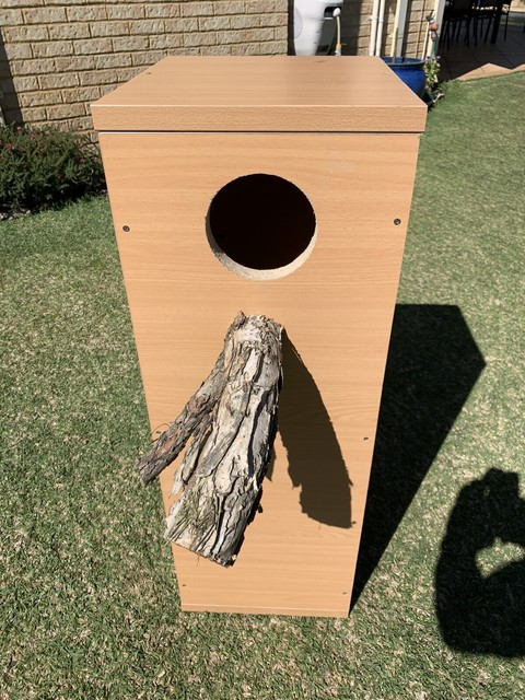 Large Parrot Nesting Box -$40 | Pet Products | Gumtree Australia ...