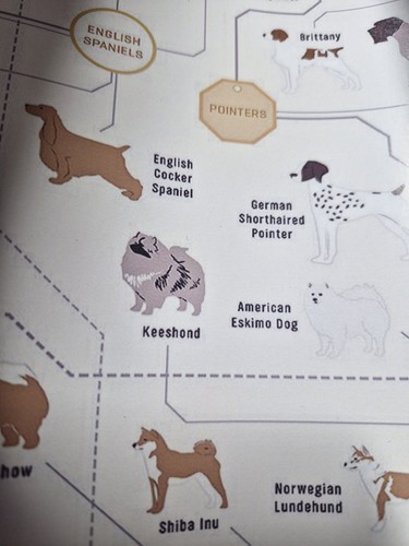 Dog Breed Chart Poster Print Choose your size Unframed. | eBay
