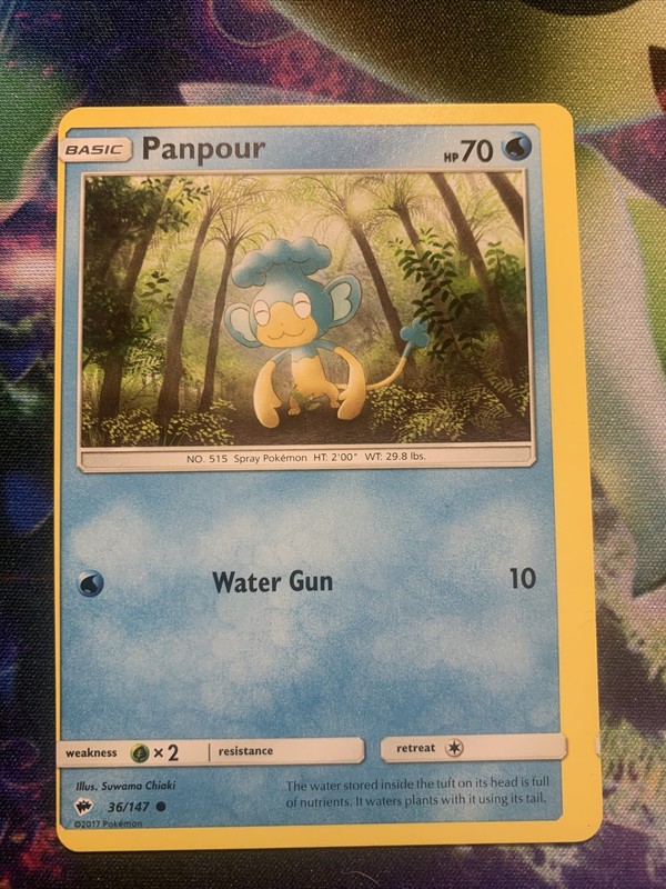 Panpour Pokemon Cards - Find Pokemon Card Pictures With Our Database ...