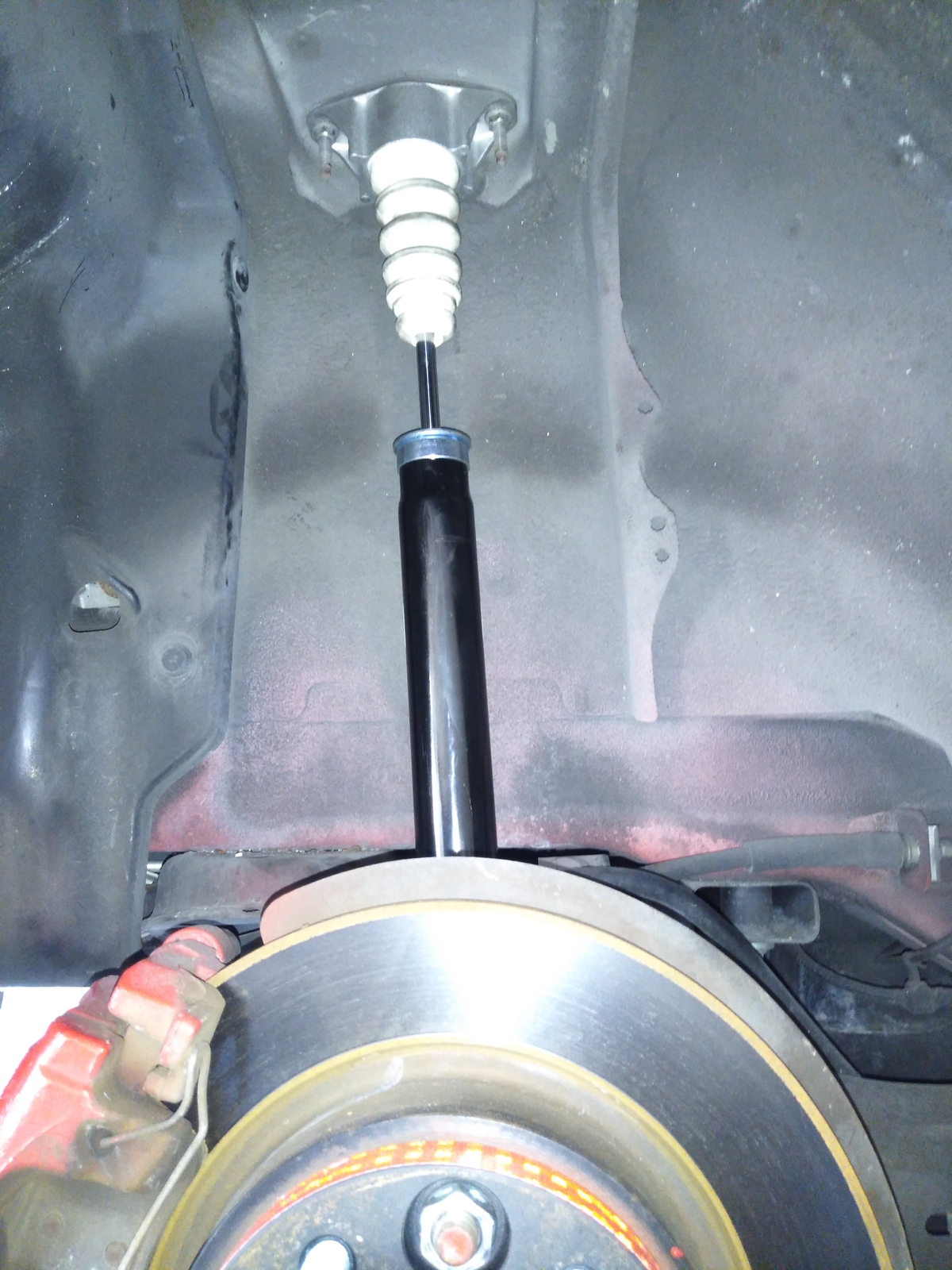 For 2004-2009 Mazda 3 2006-2015 Mazda 5 Rear Shocks Struts Left Right ...