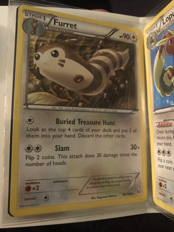 Furret Pokemon Cards - Find Pokemon Card Pictures With Our Database ...