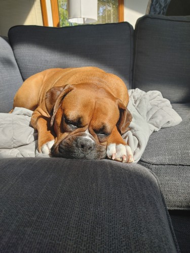 Caution Toxic Waste Inside OSHA Business Safety Sign Decal Sticker ...