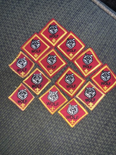 Boy Scout BSA Wolf Rank Cub Scout Uniform