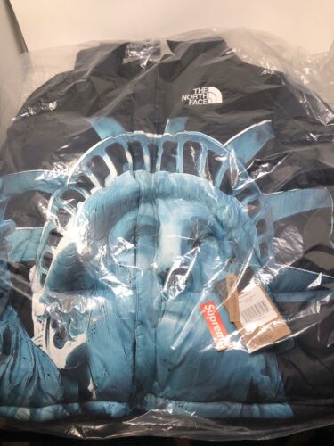 Supreme The North Face TNF Statue of Liberty Baltoro Jacket Supreme The North Face TNF Statue of Liberty Baltoro Jacket
