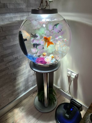 Round Fish Tank for sale in UK | 59 used Round Fish Tanks