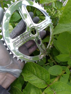 Chainrings & BMX Sprockets - Redline Flight - Nelo's Cycles