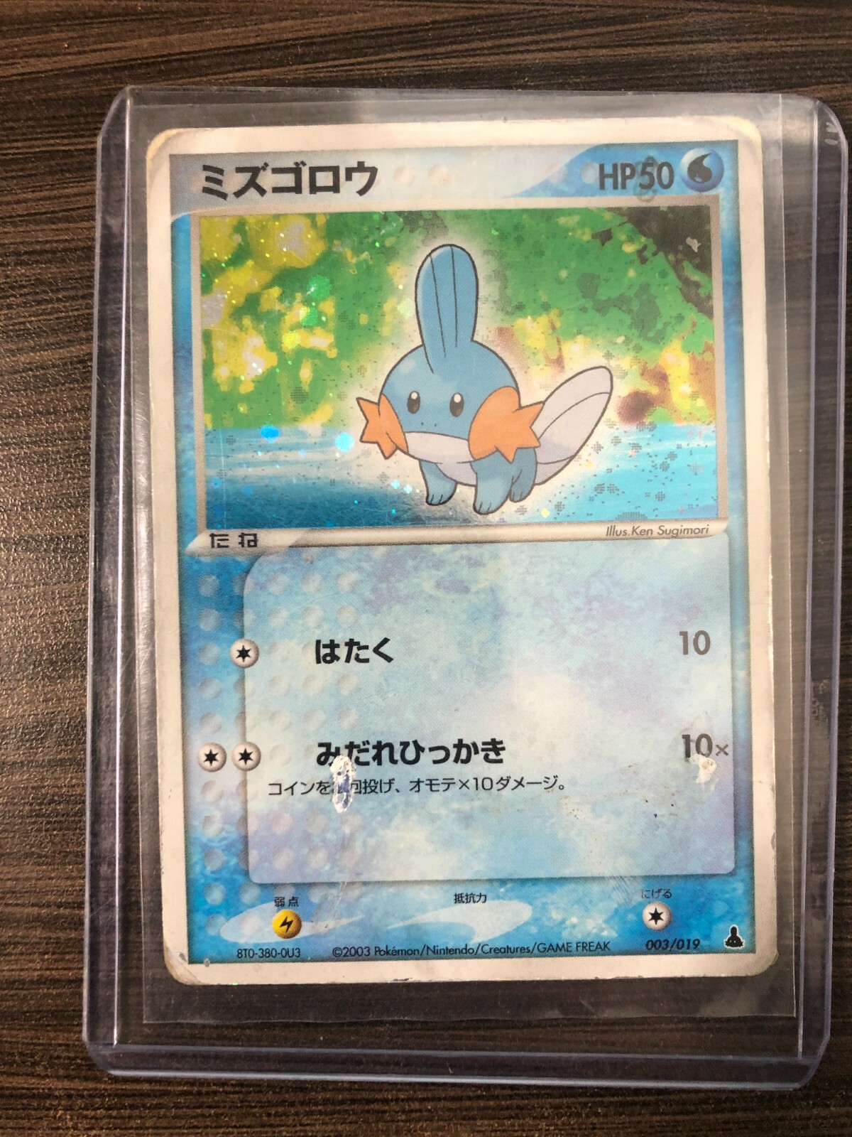 US SHIPPING Mudkip Pokemon Card 2003 Holo Japanese 003/019 US SHIPPING Mudkip Pokemon Card 2003 Holo Japanese 003/019