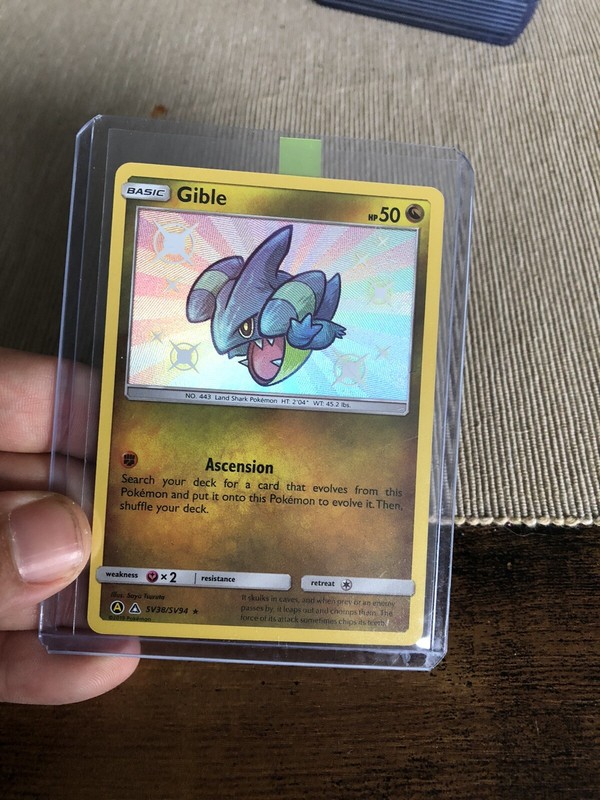 Gible Pokemon Cards - Find Pokemon Card Pictures With Our Database ...
