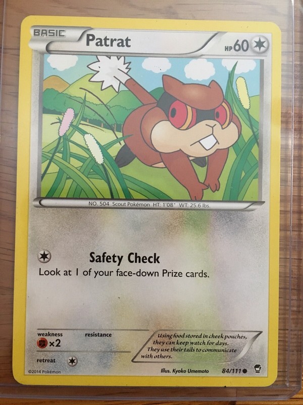 Patrat Pokemon Cards - Find Pokemon Card Pictures With Our Database ...