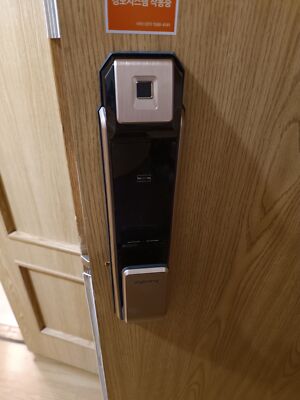 SAMSUNG Zigbang SHP-P71 Keyless Fingerprint PUSH PULL Digital Smart Door Lock | eBay