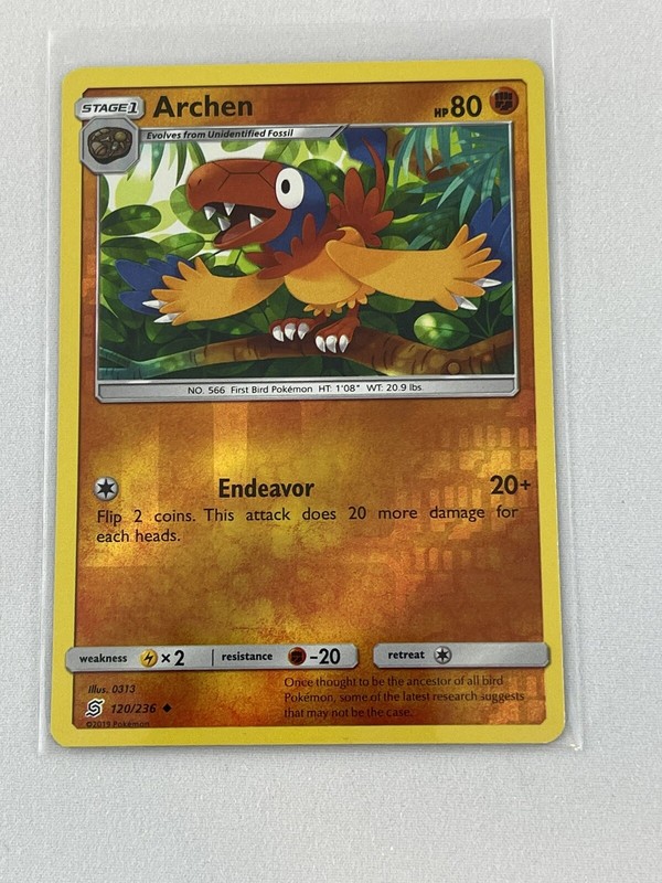 Archen Pokemon Cards - Find Pokemon Card Pictures With Our Database ...