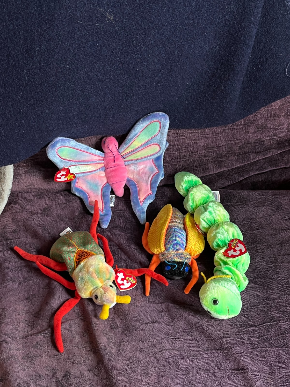 TY Lot Pink Purple Plush FLITTER Butterfly Green Worm SQUIRMY Inset ...