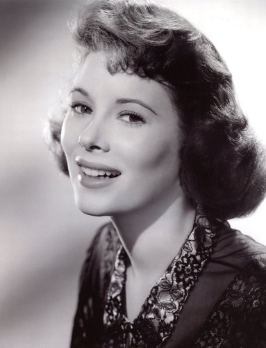 John Ristaino's Instagram, Twitter & Facebook on IDCrawl