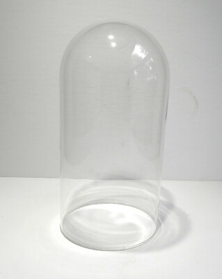 Other - Glass Dome Cloche - Vatican