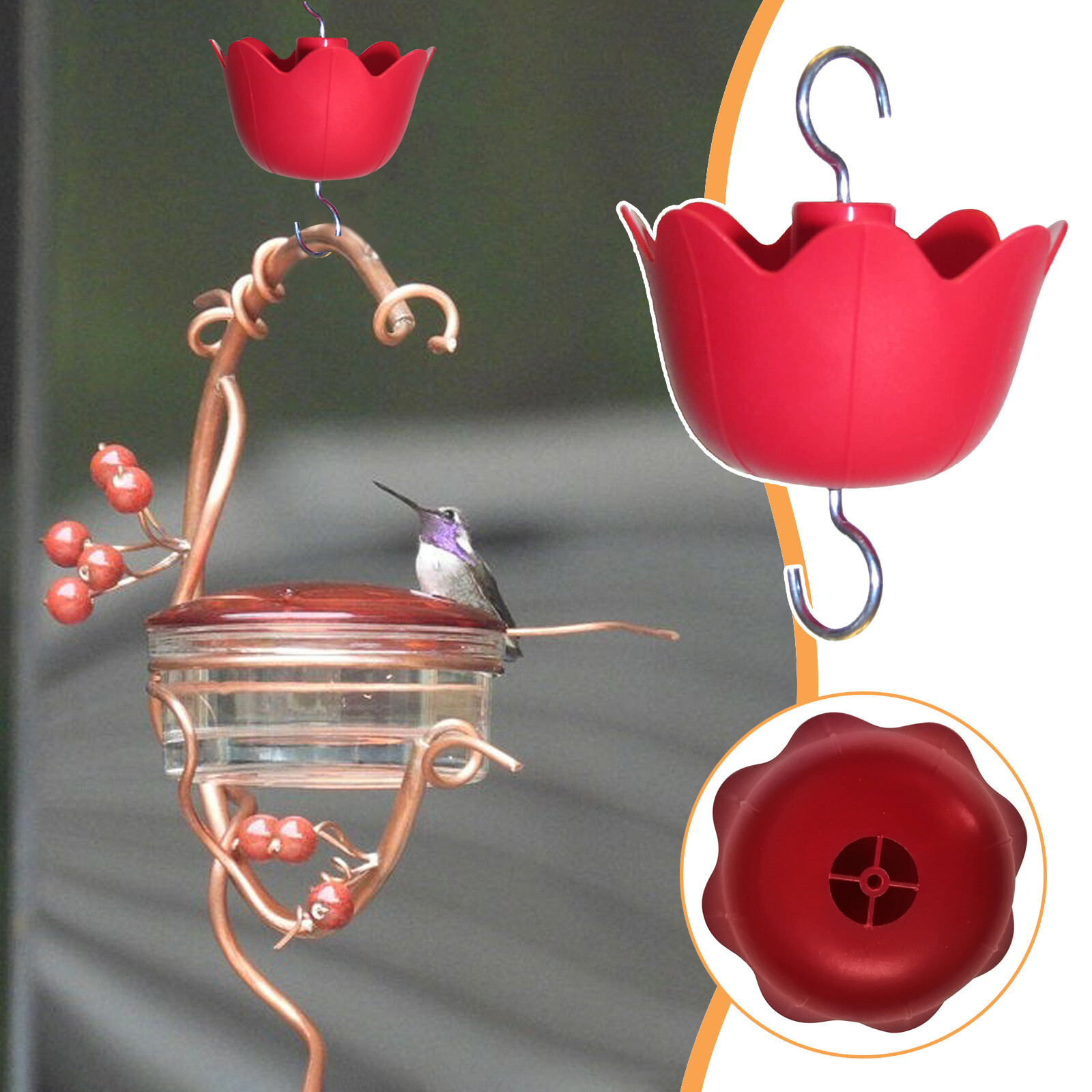 Hook Ant Moat | Hummingbird Feeder
