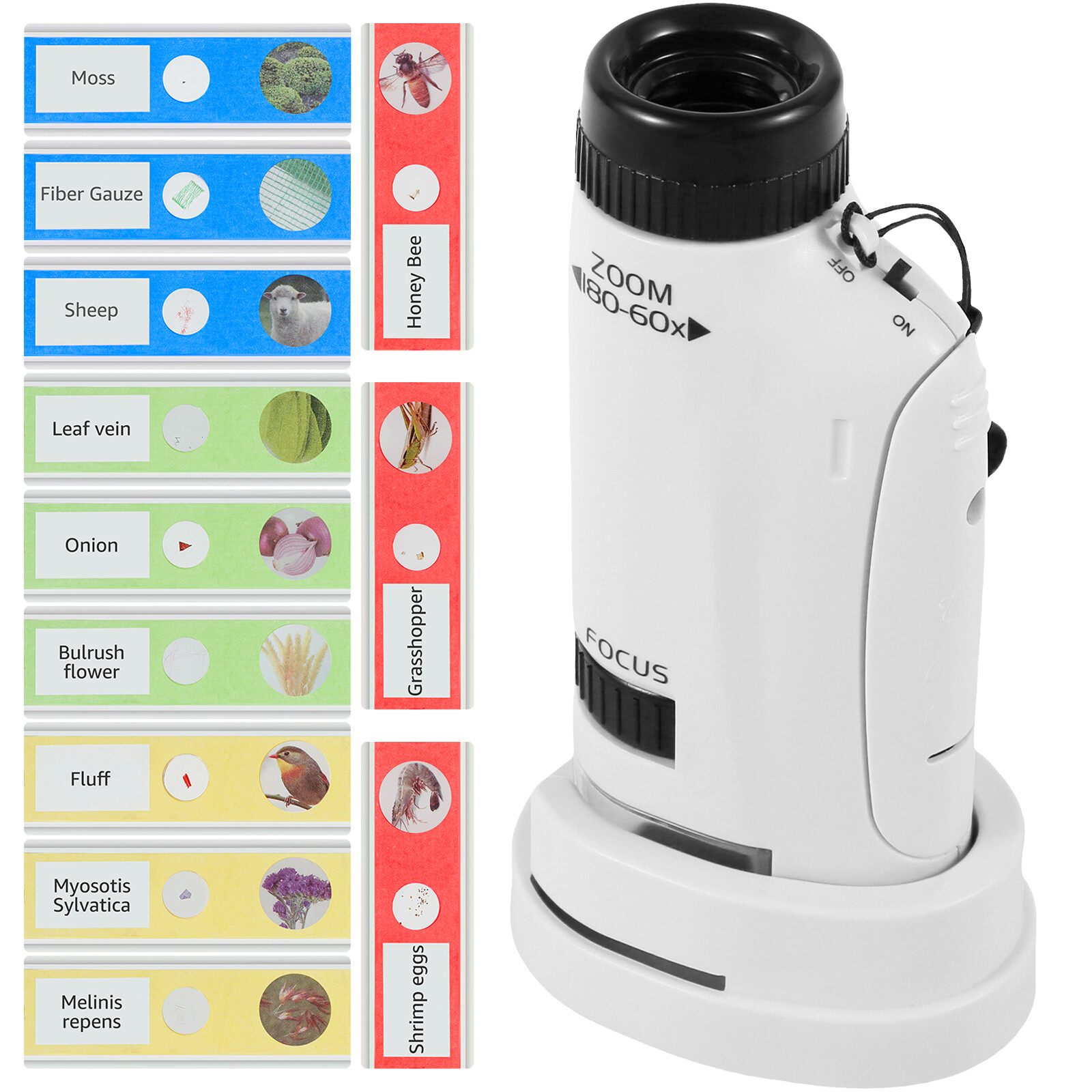 Portable Microscope 60X-180X Handheld Microscope with 12pcs Microscope ...