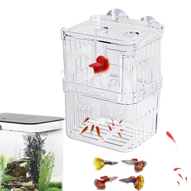Aquarium Hatchery Trap Fish Breeding Box Tank Fry Breeder Isolation Ca ...