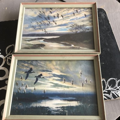 Signed Peter Scott Prints for sale in UK | View 41 ads