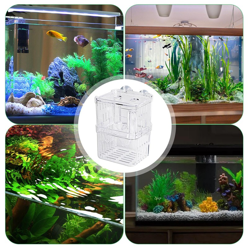 Aquarium Hatchery Trap Fish Breeding Box Tank Fry Breeder Isolation Ca ...